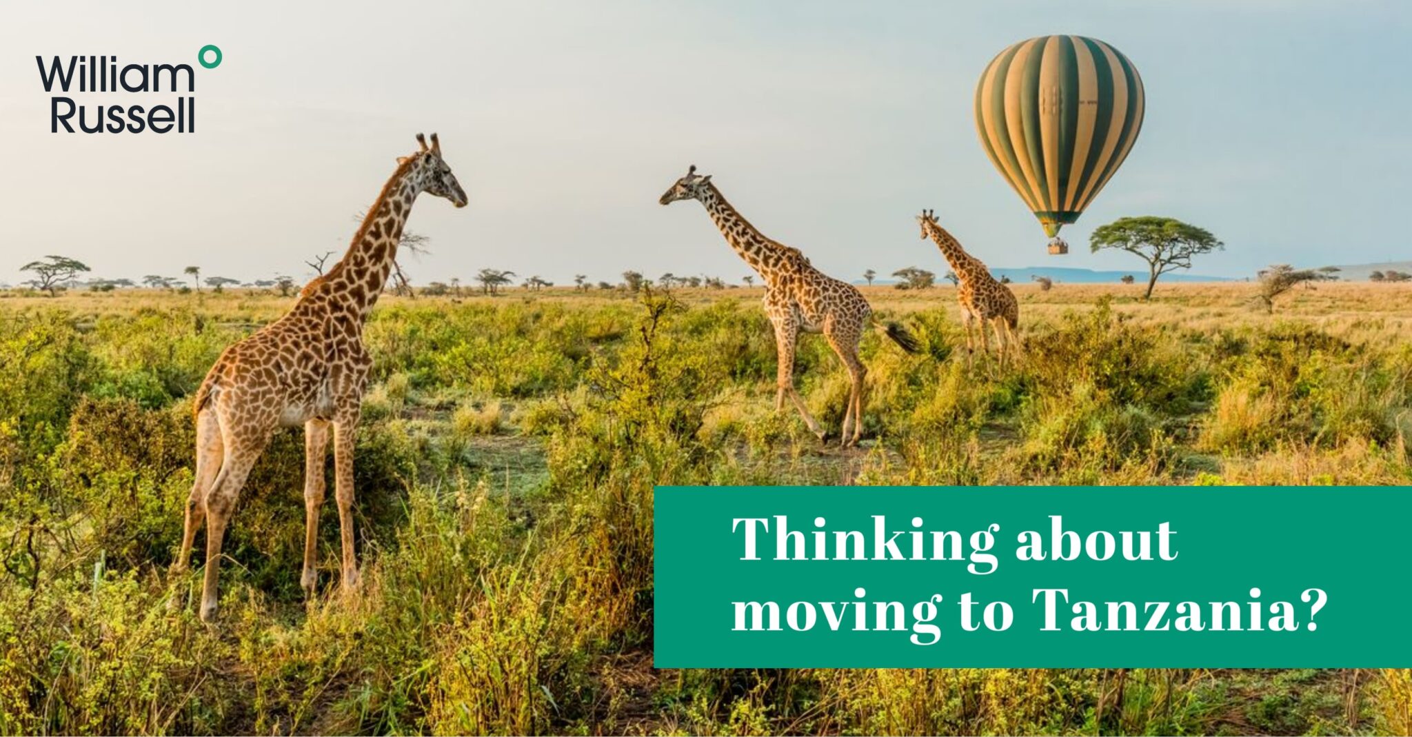 Living In Tanzania: A Guide To Moving To Tanzania As An Expat | William ...