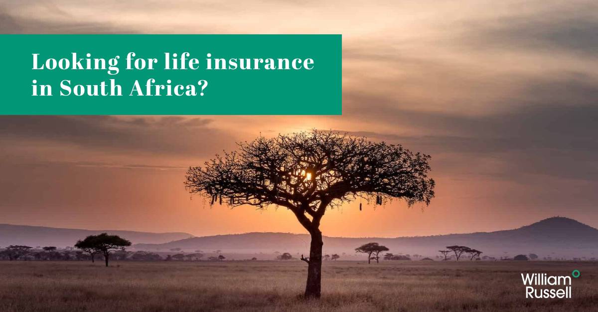 How To Get Life Insurance In South Africa As An Expat (Or Local ...